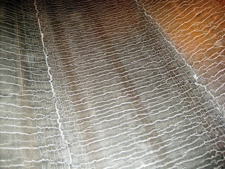 13 Types of Conveyor Belt Damage