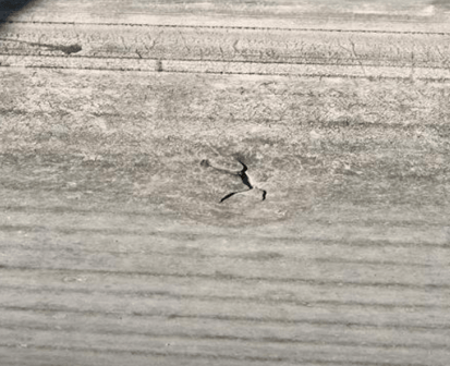 13 Types of Conveyor Belt Damage