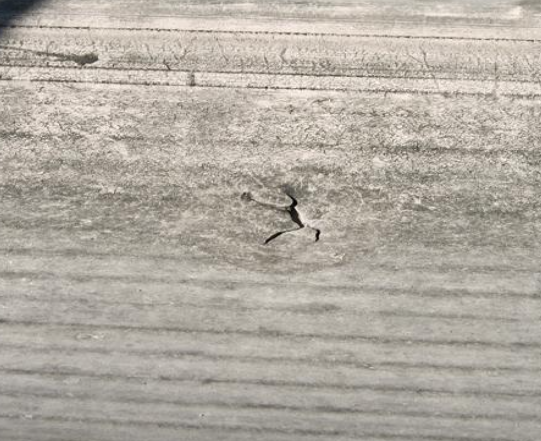 13 Types of Conveyor Belt Damage